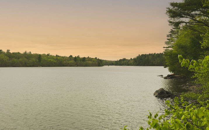 1529 Plank Rd, Forestburgh, NY 12777 | Crexi.com