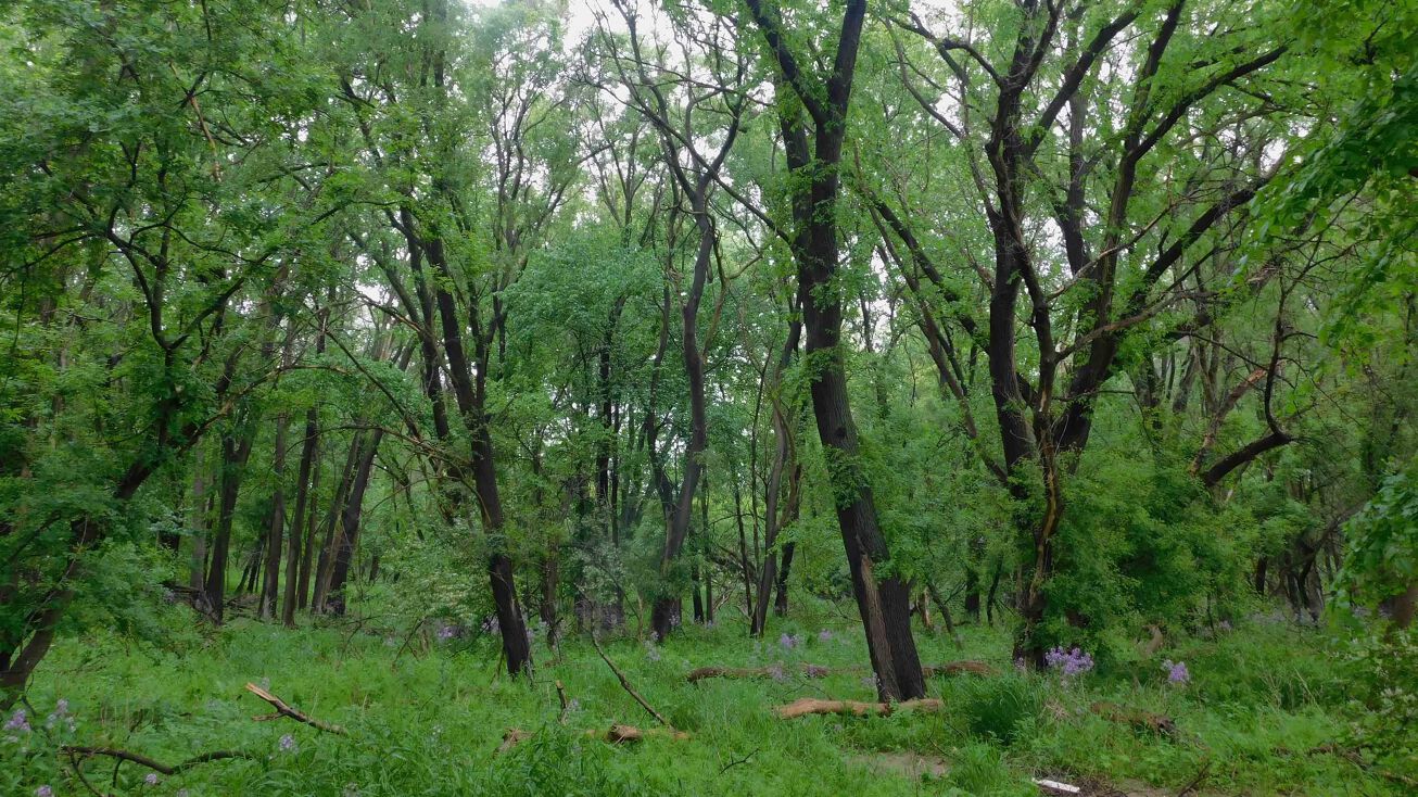 N 24Th Street, Denison, IA 51442 | Crexi.com