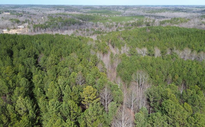 0 Co Rd 449, Haleyville, AL 35565 | Crexi.com