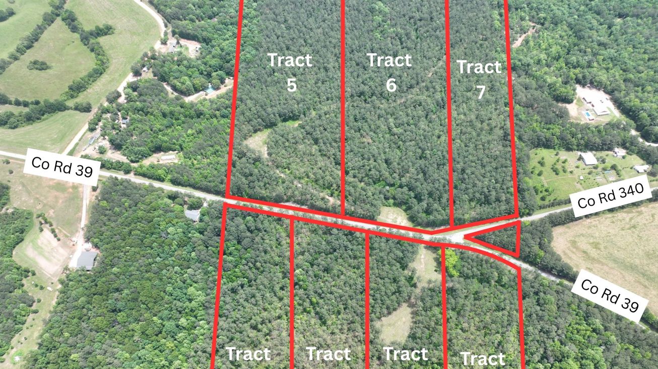 0 County Road 39, Woodland, AL 36280 | Crexi.com