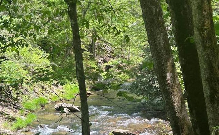 Lee Cochran Rd, Bryson City, NC 28713 | Crexi.com