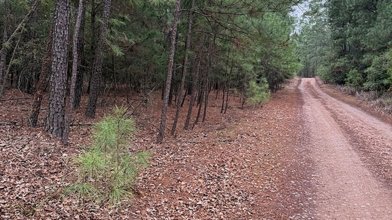 000 Red Fox Road, La Grange, TX 78945 | Crexi.com