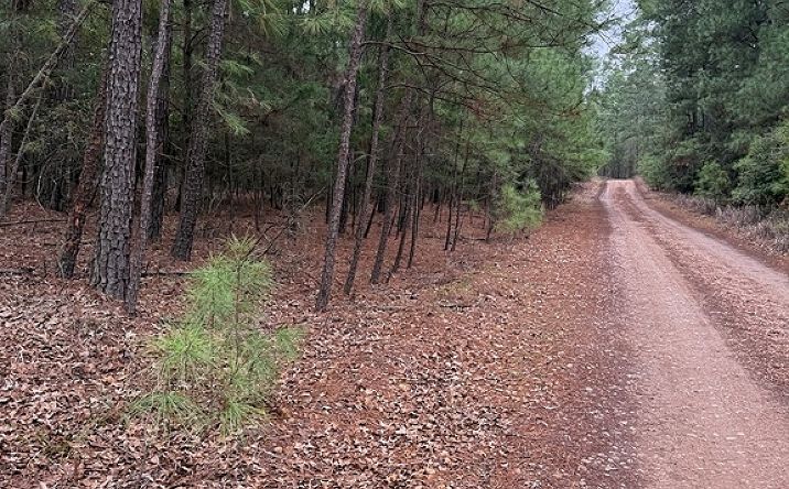 000 Red Fox Road, La Grange, TX 78945 | Crexi.com