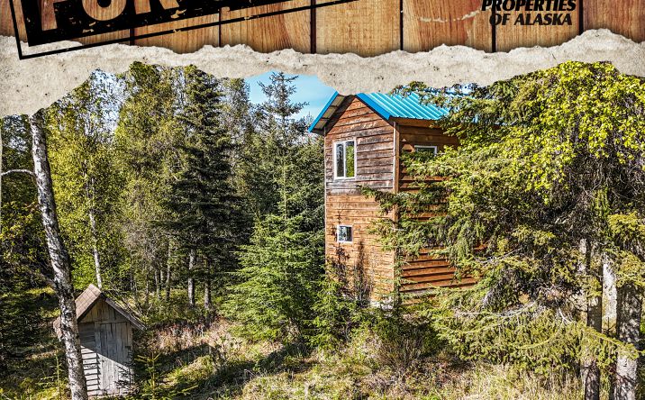 63760 Elizabeth Ave, Ninilchik, AK 99639 | Crexi.com