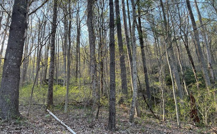 TBD Briar Rock Trail, Fancy Gap, VA 24328 | Crexi.com