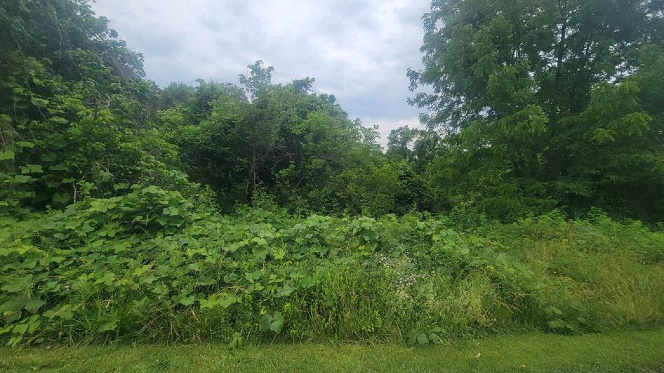 TBD Charity Road, Doran, VA 24641 | Crexi.com