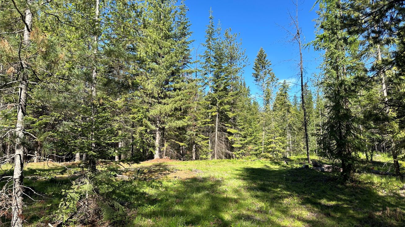 Nhn Little Beaver Creek Road, Trout Creek, MT 59874 | Crexi.com