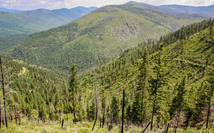 Nhn Swamp Creek Hunting Ranch, Plains, MT 59859 | Crexi.com