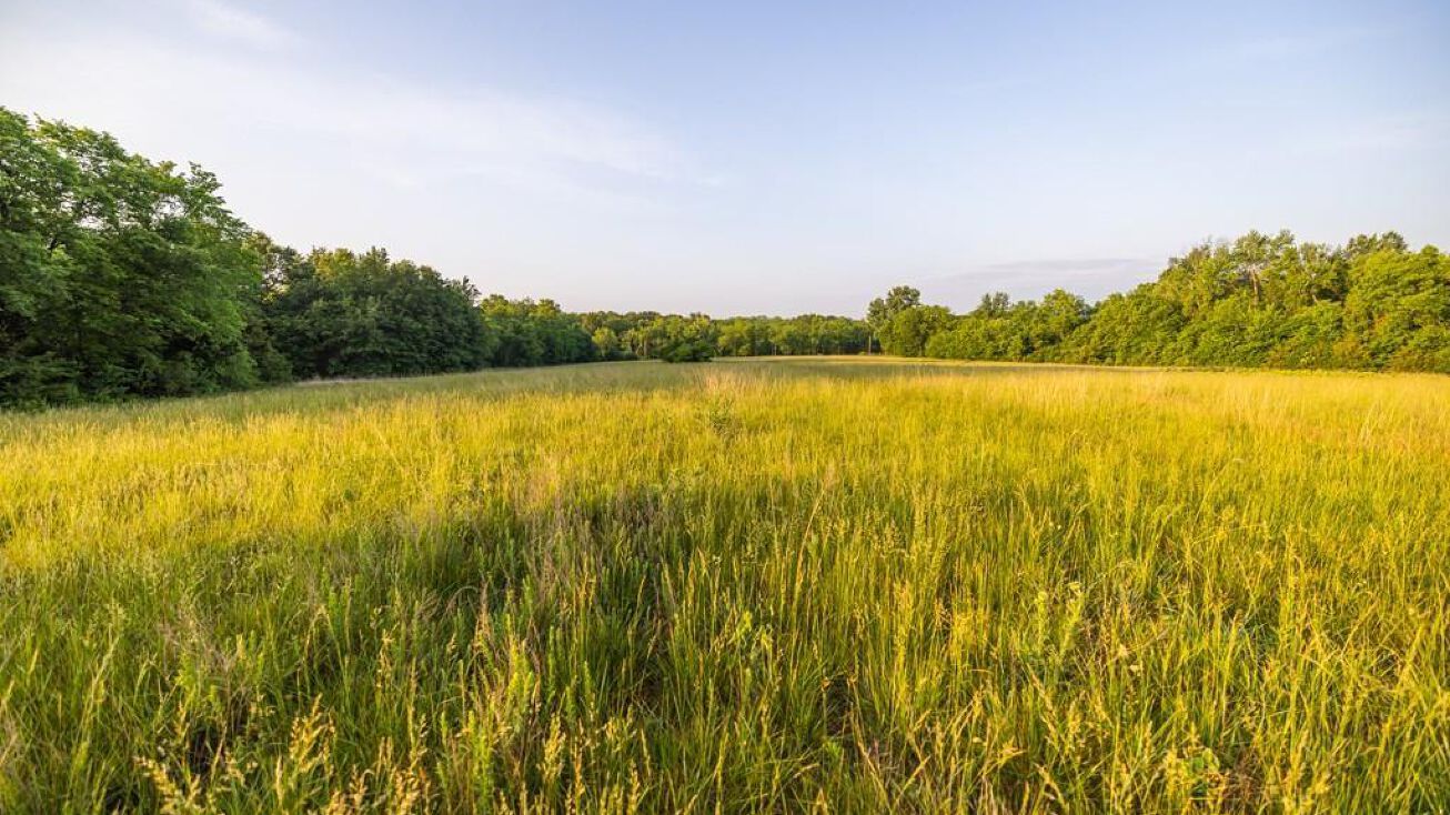 93 SW 1250 Road, Chilhowee, MO 64733 | Crexi.com