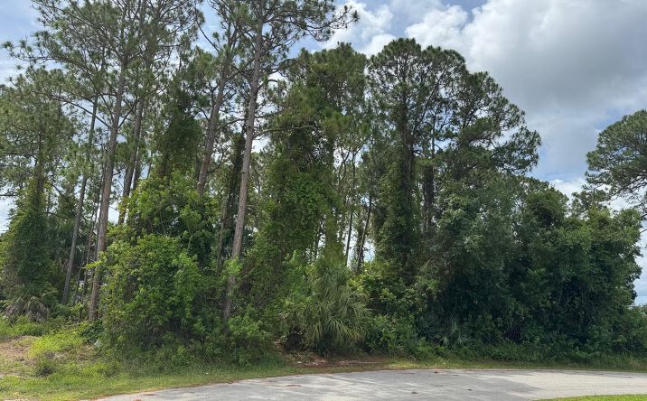 120 Angelo Road SE, Palm Bay, FL 32909 | Crexi.com