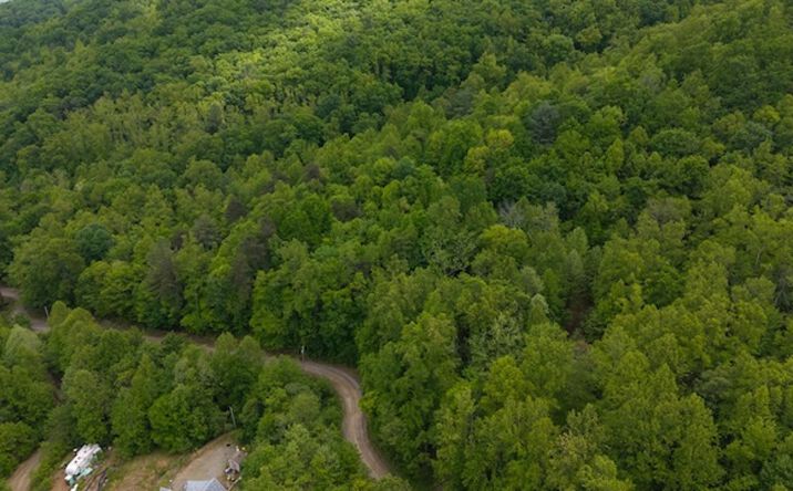 Cove Gap Rd, Moravian Falls, NC 28697 | Crexi.com