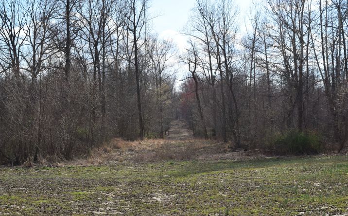 25+/- Acres Tillable Cropland & Pond, Fort Ritner, IN 47421 | Crexi.com