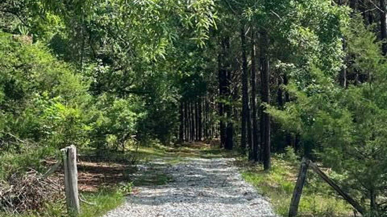 3199 Dozier Rd, Appling, GA 30802 | Crexi.com