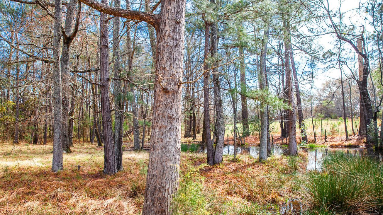 Lot 7 Mistletoe Rd, Appling, GA 30802 | Crexi.com