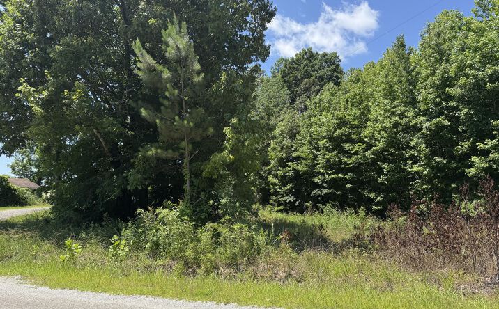 726 Rocky Springs Road, Beech Bluff, TN 38313 | Crexi.com