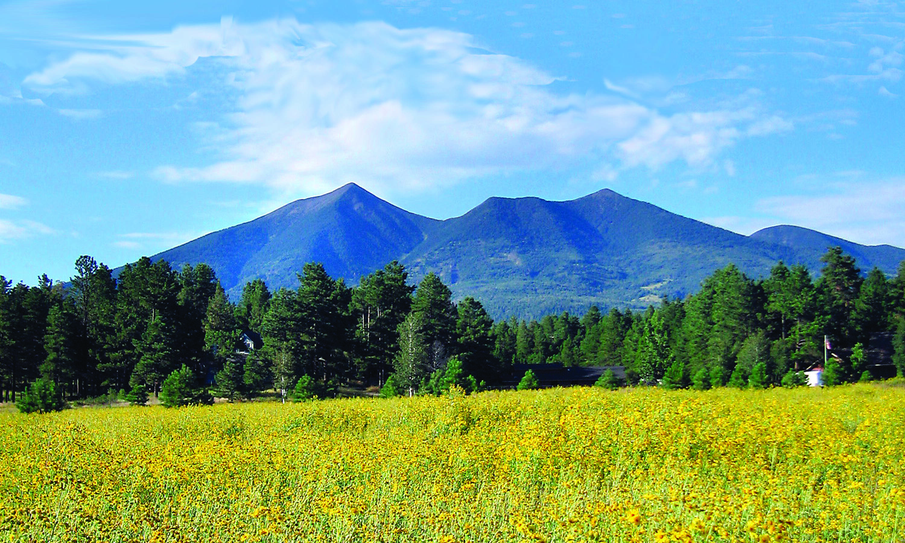 1833 N JASPER Flagstaff AZ 86001 | Crexi.com