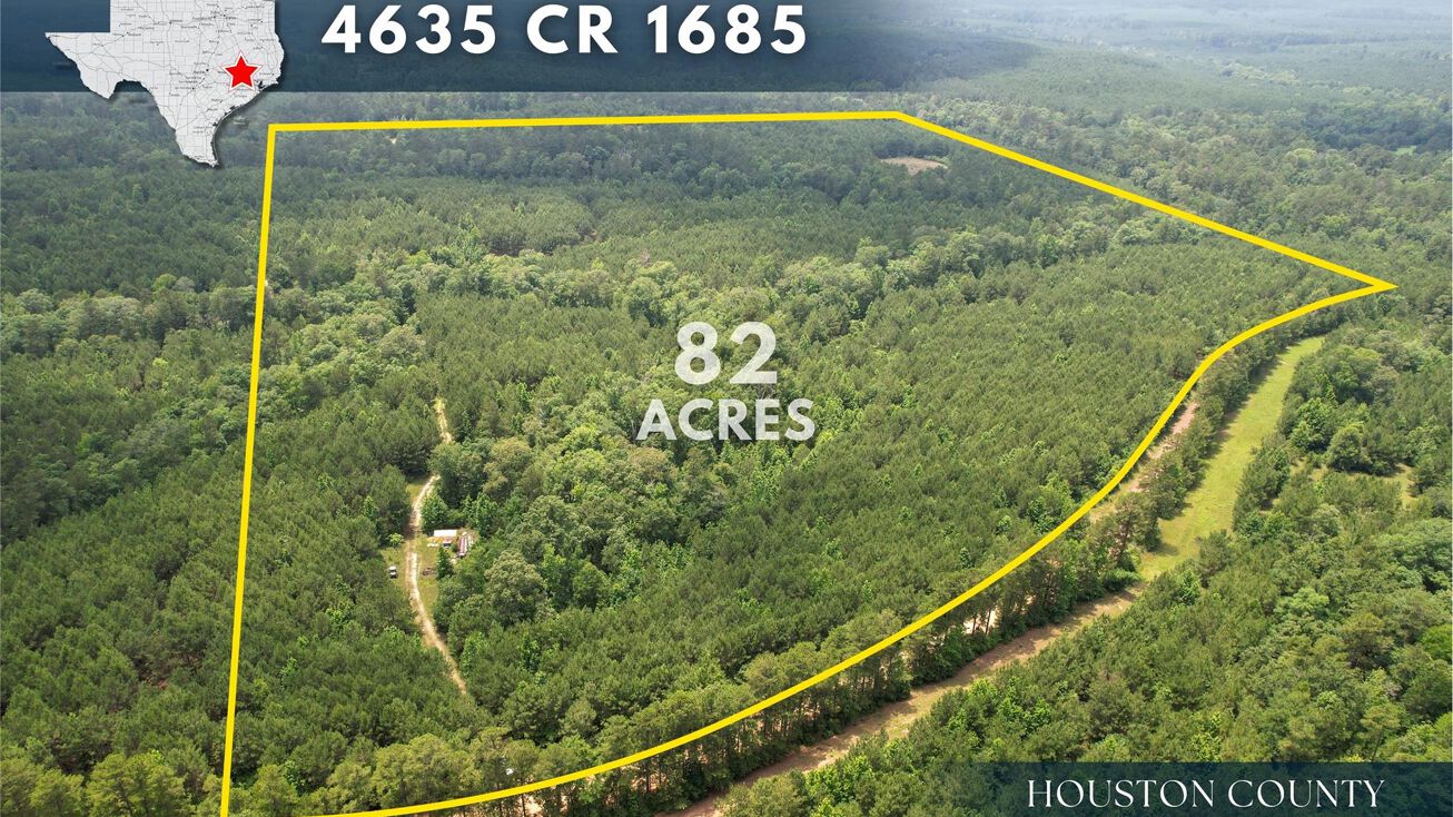 4635 Co Rd 1685, Grapeland, TX 75844 | Crexi.com