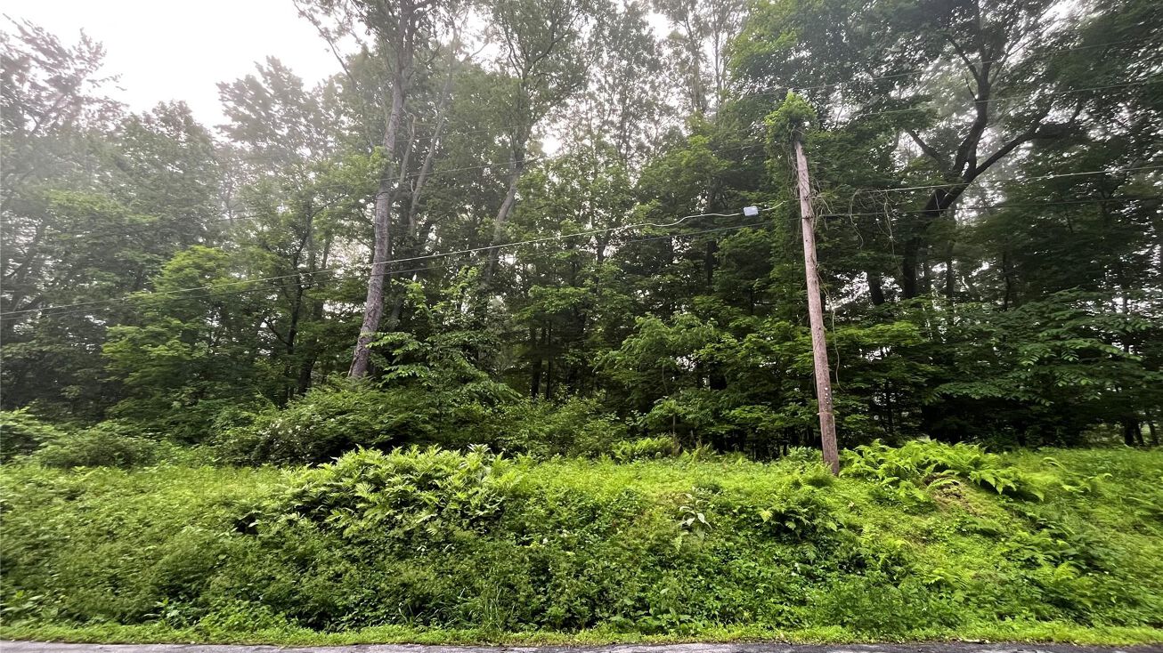 Pine Hill Road, Pleasant Valley, NY 12569 | Crexi.com