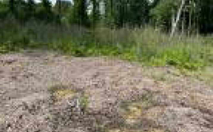 0 Sinclair Road, Summerville, SC 29483 | Crexi.com