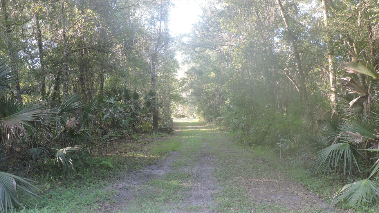 0000 County Road 2006 W, Bunnell, FL 32110 | Crexi.com