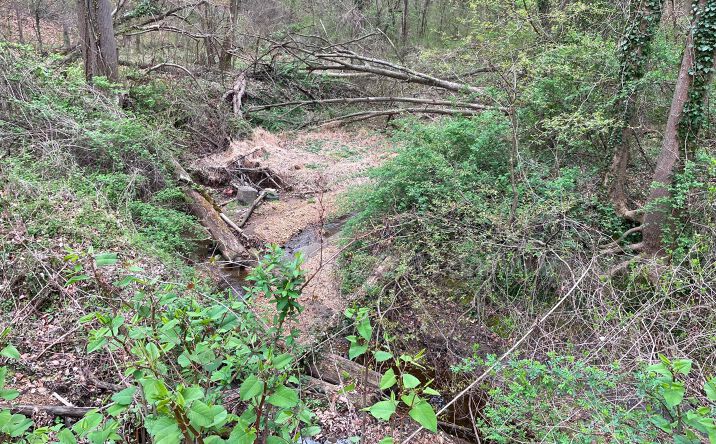 Ute Way, Capitol Heights, MD 20743 | Crexi.com