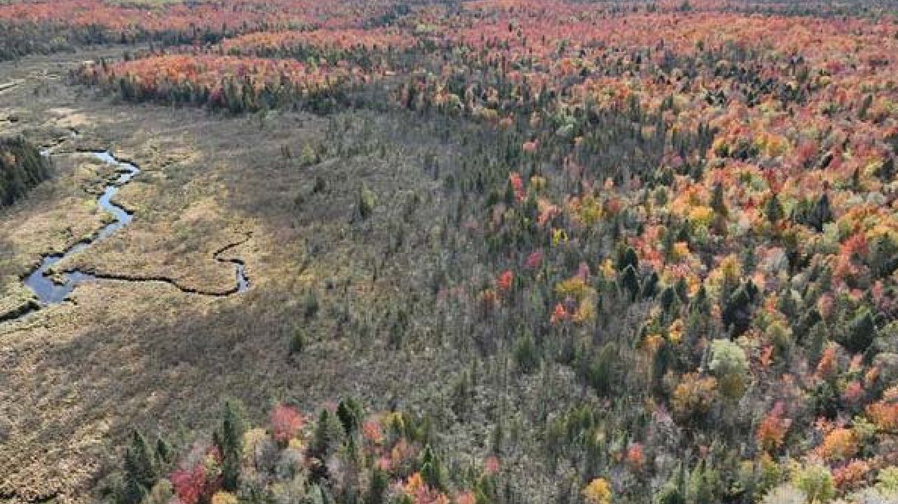 2 Mile Rd, Bergland, MI 49910 | Crexi.com