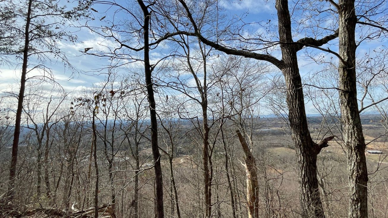 Alabama Hwy, Rock Spring, GA 30739 | Crexi.com