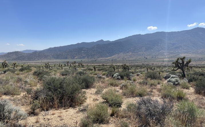 Kelso Valley Rd, Weldon, CA 93283 | Crexi.com