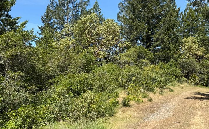 Moore Homestead Rd, Philo, CA 95466 | Crexi.com