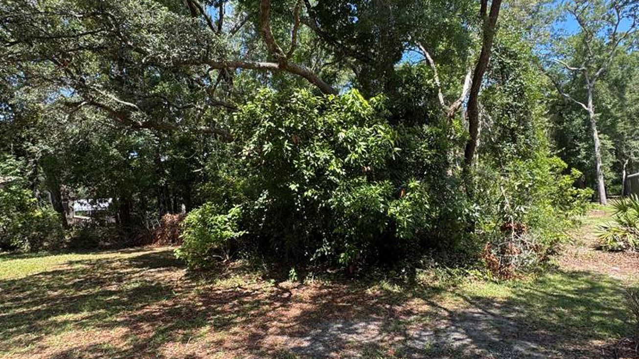 17131 NW 82nd Ter, Fanning Springs, FL 32693 | Crexi.com