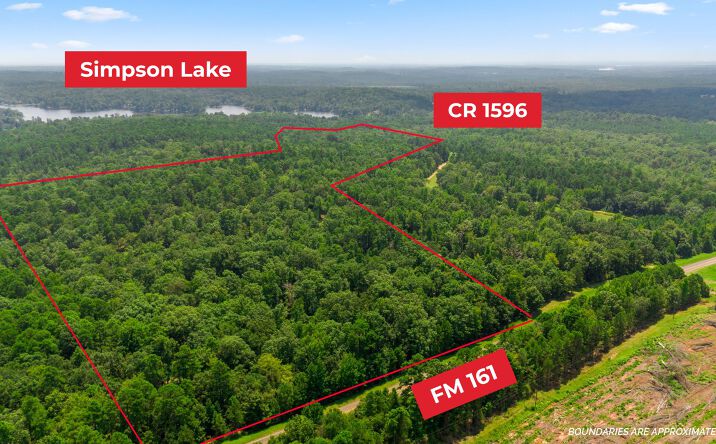 TBD County Road 1596, Avinger, TX 75630 | Crexi.com