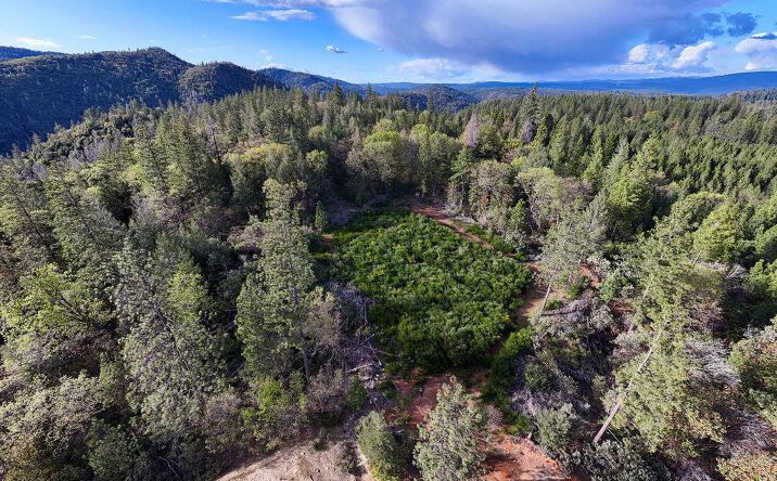 11192 Sebastopol Road, North San Juan, CA 95960 | Crexi.com