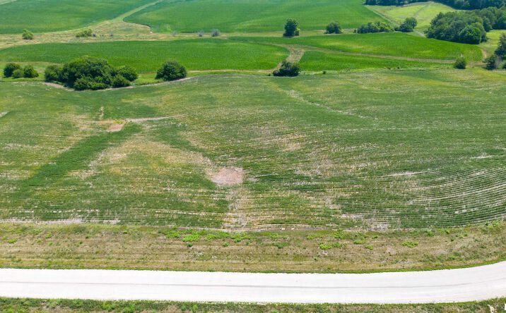 2439 Olof Krans Avenue, Galva, IL 61434 | Crexi.com