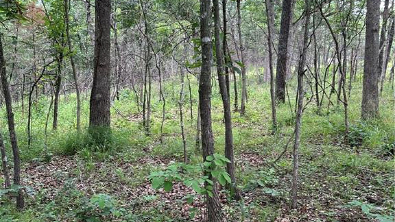 Bobcat Drive, Warsaw, MO 65355 | Crexi.com