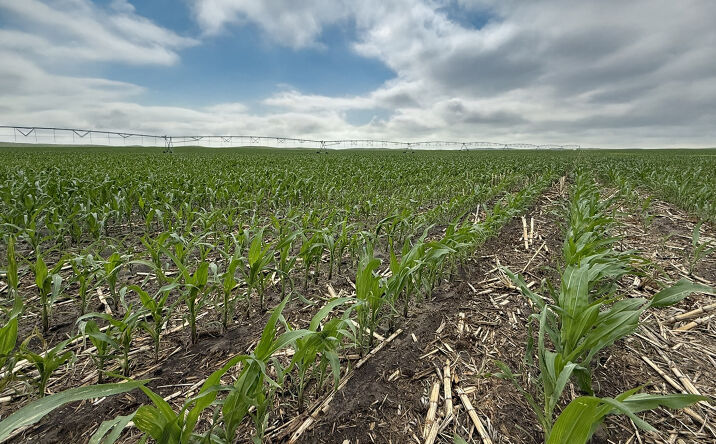 Farmland, Yuma, CO 80759 | Crexi.com