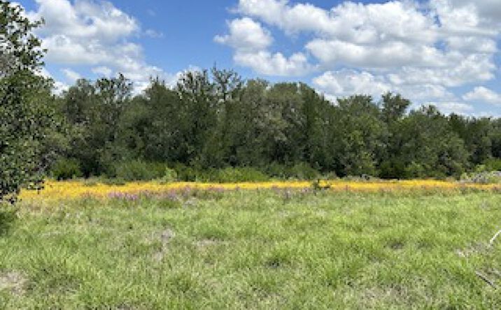 6 +/- Acres near Brownwood, Blanket, TX 76432 | Crexi.com