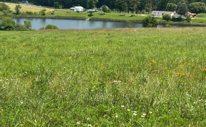 1353 State Route 13, Crooksville, OH 43731 | Crexi.com