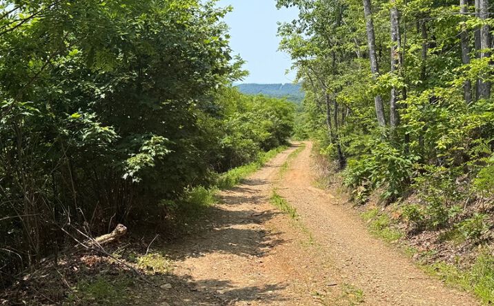 Ball Mountain Ln, Shipman, VA 22971 | Crexi.com