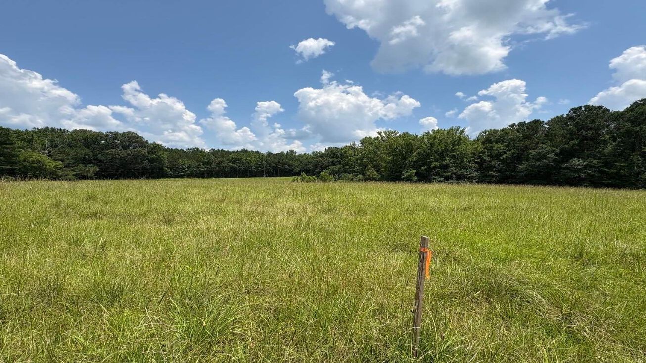 8 Acres in Winston County, Louisville, MS 39339 | Crexi.com