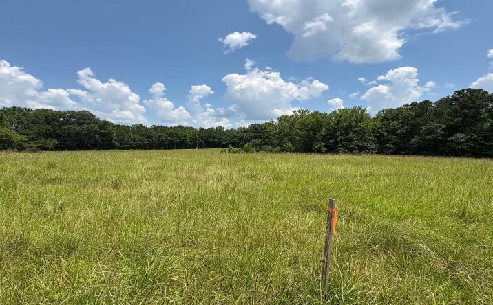 8 Acres in Winston County, Louisville, MS 39339 | Crexi.com