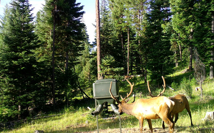 Port Blakely Ranch, John Day, OR 97845 | Crexi.com