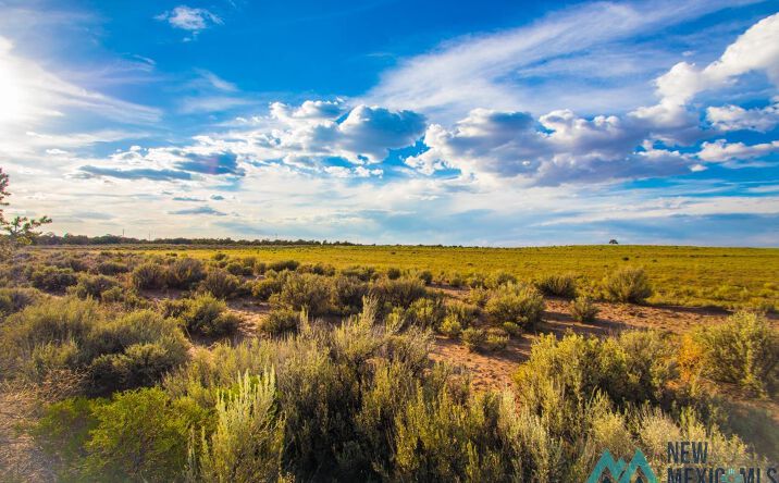 Lot 20 Jones Ranch Avenue, Vanderwagen, NM 87326 | Crexi.com
