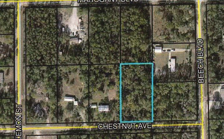 5540 Chestnut Avenue, Bunnell, FL 32110 | Crexi.com