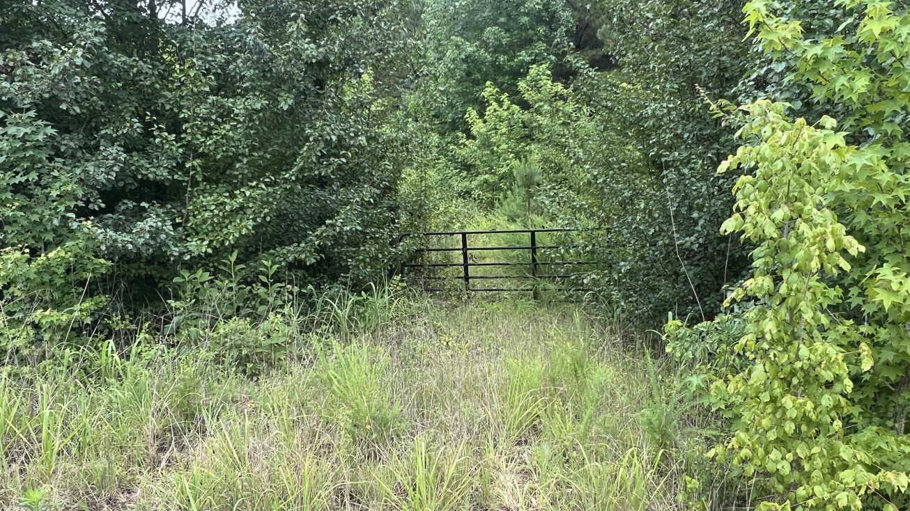 200 Bowman Loop Road, Beech Bluff, TN 38313 | Crexi.com