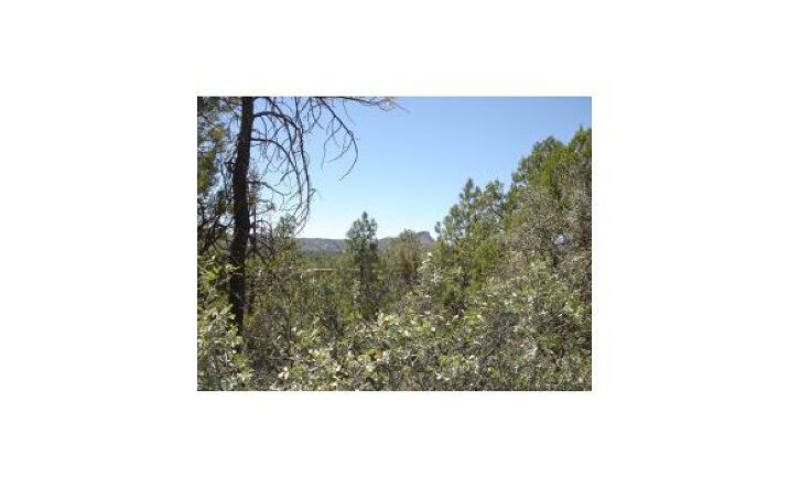 Myles Baxter - Hassayampa Realty Services | Crexi