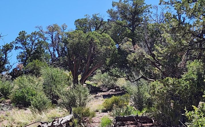 912 Westwood Ranch, Ash Fork, AZ 86320 | Crexi.com