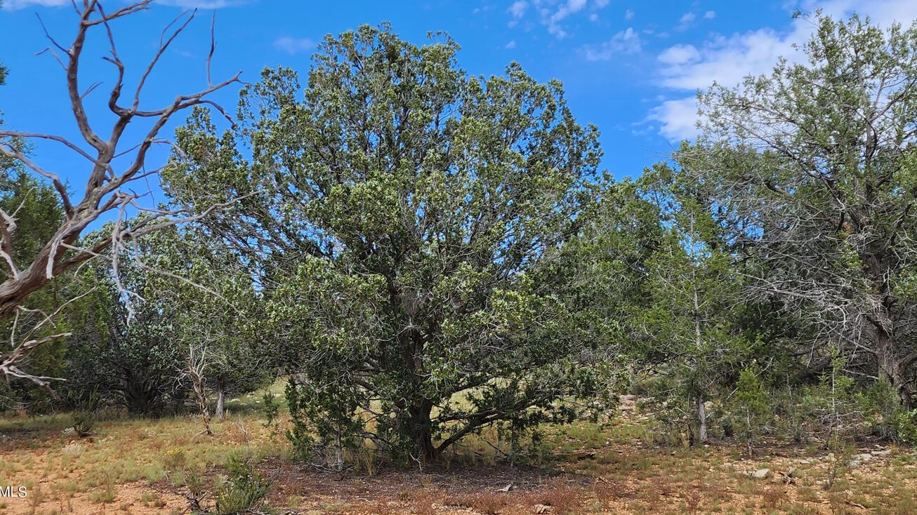 912 Westwood Ranch, Ash Fork, AZ 86320 | Crexi.com