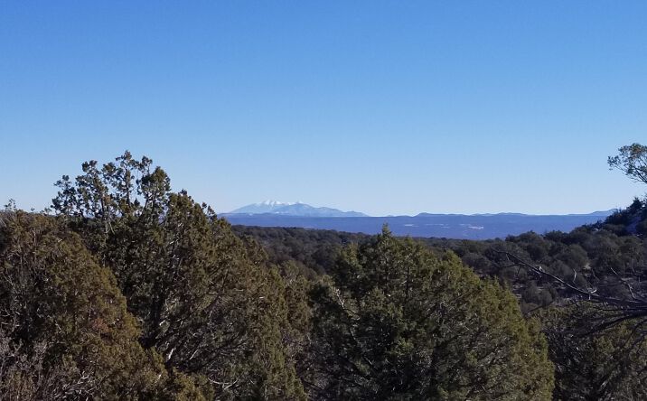 970 Westwood Ranch, Williams, AZ 86046 | Crexi.com