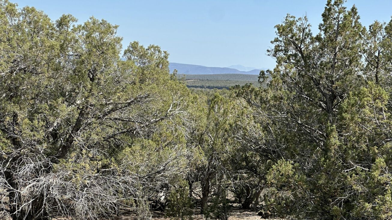 972 Westwood Ranch, Williams, AZ 86046 | Crexi.com