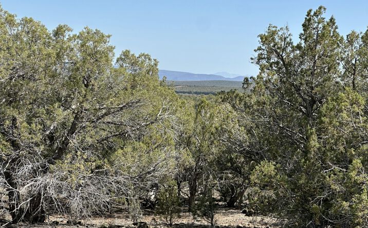 166 W2 Westwood Ranch, Williams, AZ 86046 | Crexi.com